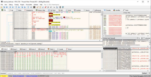 Python Opcode Obfuscation: A Powerful Anti-Analysis Technique